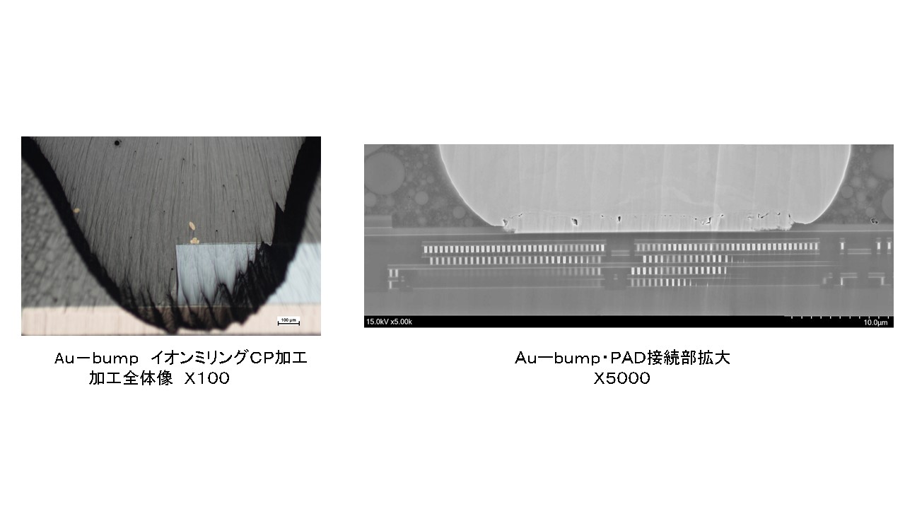 Au-bump・PAD イオンミリングCP加工～断面SEM観察 - 春川鉄工 株式会社